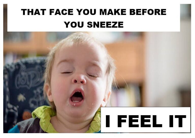 Free Meme Templates | Word Templates for Free Download